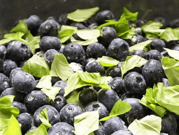 About – global palate foods